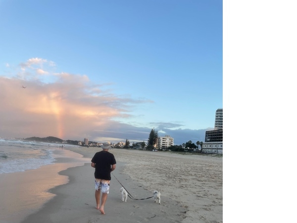 Million Paws Walk - Helen Brodie
