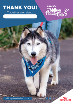 Million Paws Walk : Resources