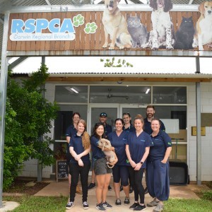 Million Paws Walk - RSPCA Darwin