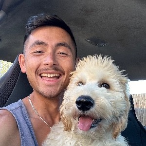 Million Paws Walk - Adam Ooi