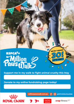 Million Paws Walk : Resources