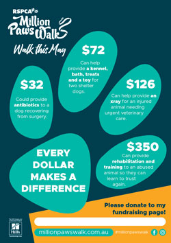 Million Paws Walk : Resources